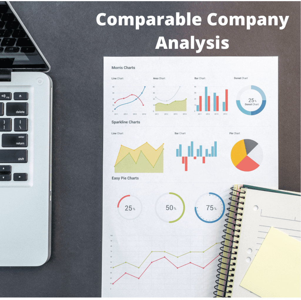 Comparable Analysis Valuation Model (Equity Valuation)